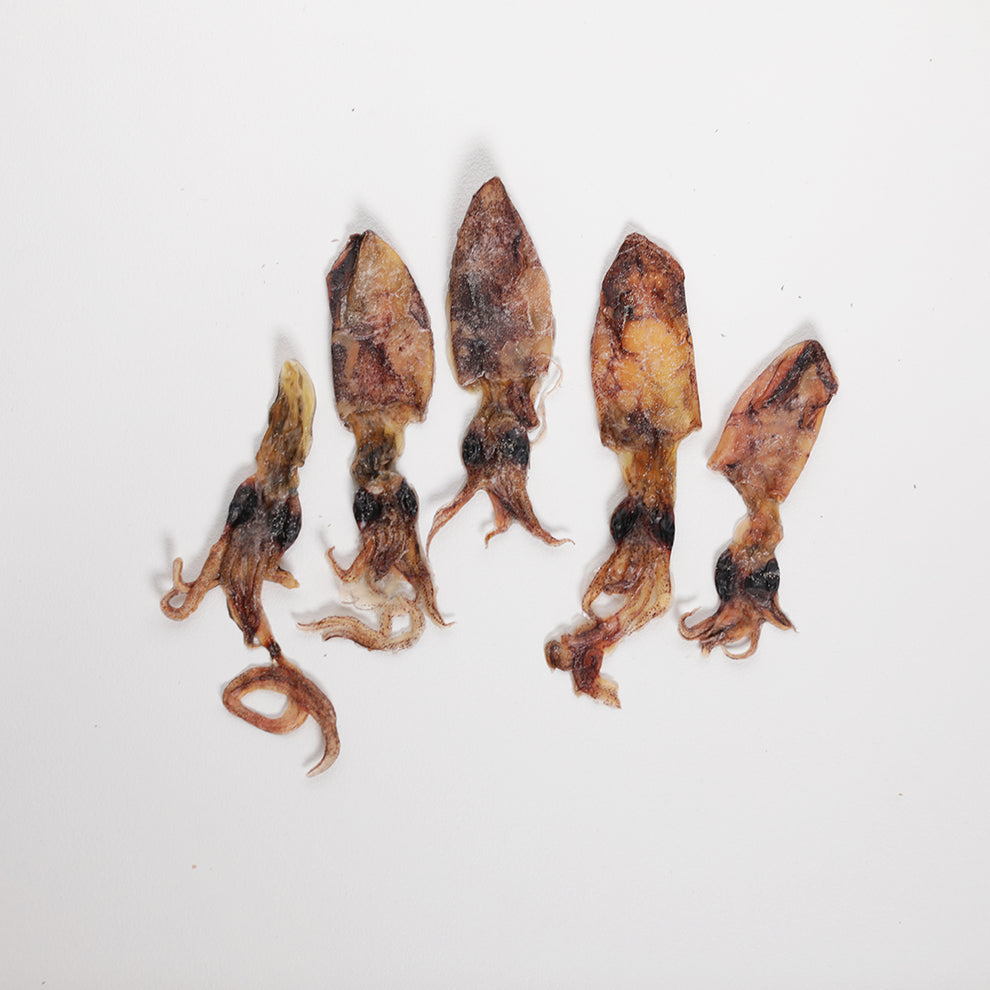 Squid - Calamari | Small - Dog Treats – Tonka & Crumb